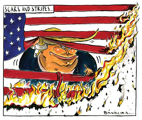 Scars and Stripes - Cartoon Gallery